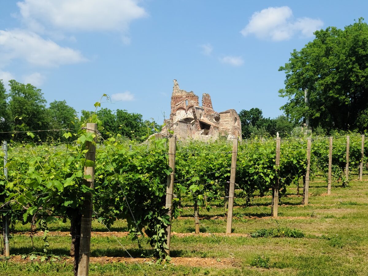 Entrepreneur Joe Giusti, Giusti Wines, Embraces His Native Asolo - The ...